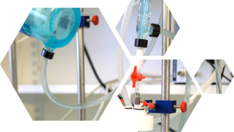 Ex vivo and in vitro exploration of cardiovascular diseases