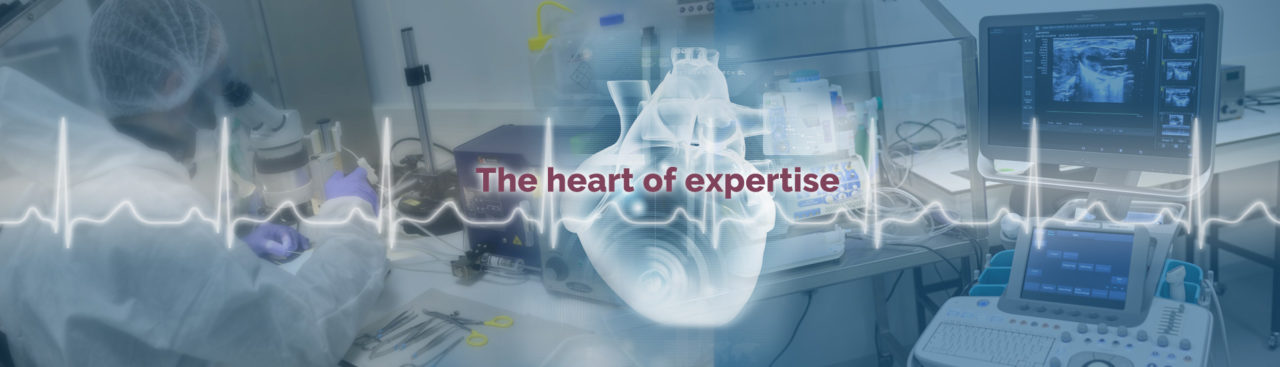 Cardiomedex cardiovascular expert